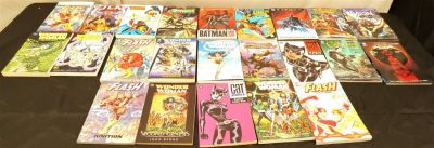 Lot 165 - Short Box of DC Trade Paperbacks and Hardcovers - Bodnar's ...