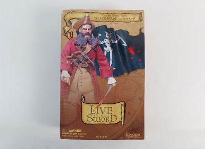 Lot 196 - Sideshow Blackbeard the Pirate 12" Figure - Bodnar's Auction ...