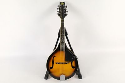 Lot 113 - Rogue 8 String Mandolin - Bodnar's Auction | bodnarsauction.com