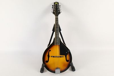 Lot 117 - Rogue 8 String Mandolin - Bodnar's Auction | bodnarsauction.com