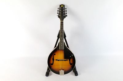 Lot 210 - Rogue Eight String Mandolin - Bodnar's Auction ...
