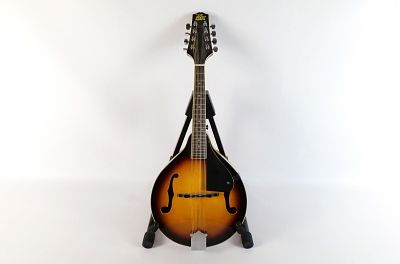 Lot 211 - Rogue Eight String Mandolin - Bodnar's Auction ...