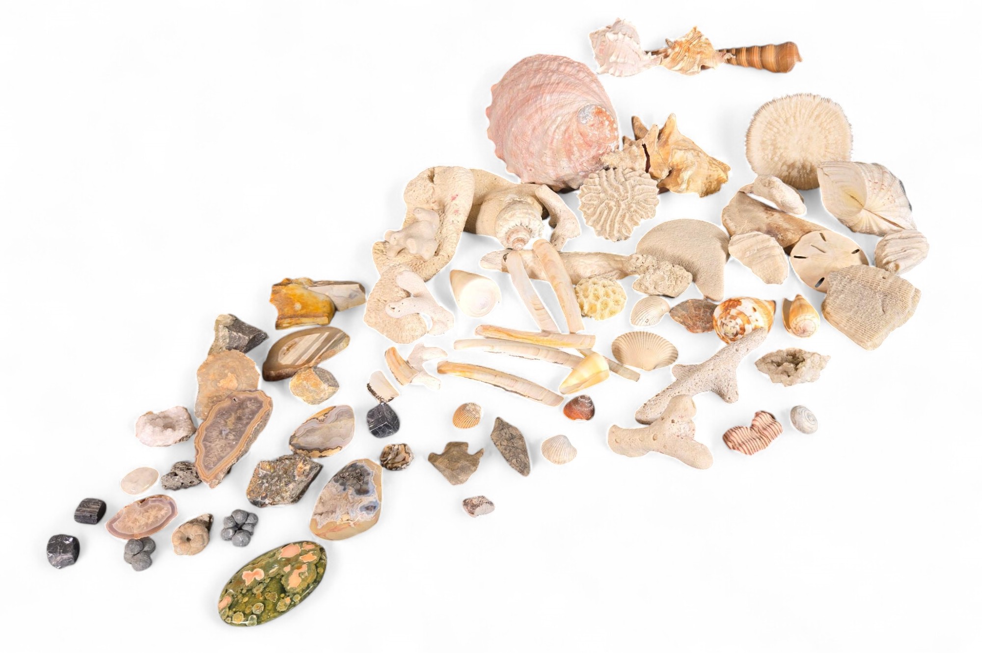 Lot 20425 - Group Lot of Shells, Rocks, Minerals and More | Burns ...