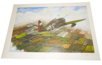 Lot 356 - Aint Miss Behaving 78FG, 82FS, Jug Aviation Kenneth Morgan ...