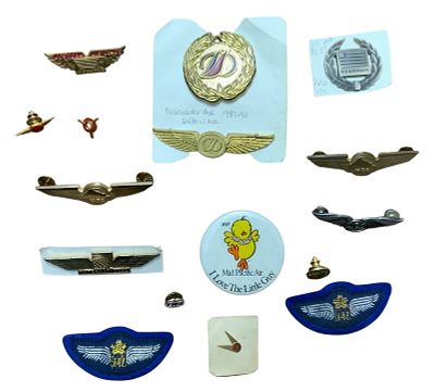 Lot 196 - Various Airlines Wing & Insignia Lot Western, ACA, MPA, TWA ...