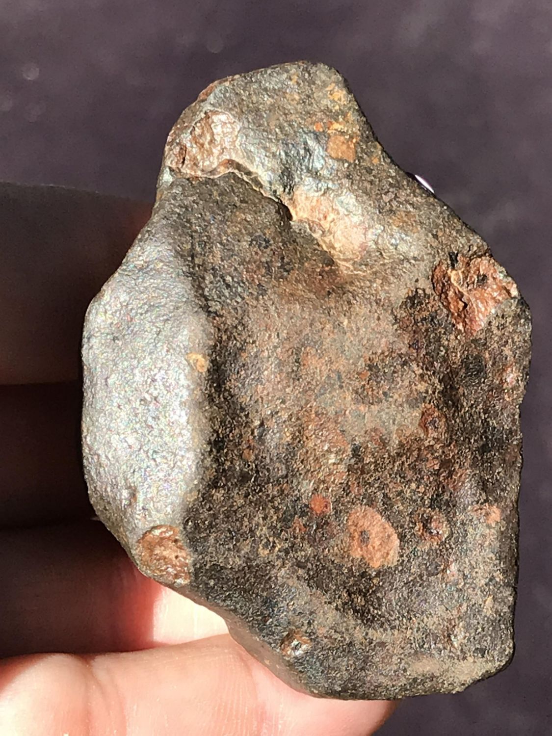 Lot 107 – Meteorite, Rock, Crystal, Natural, Collectible, - Easterly ...