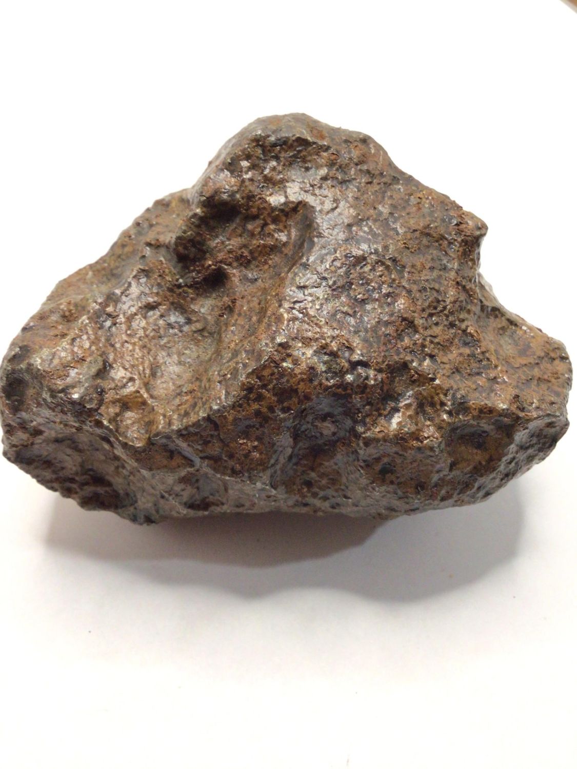 Lot 118 – Meteorite - Easterly Auction Company - Springfield Missouri ...