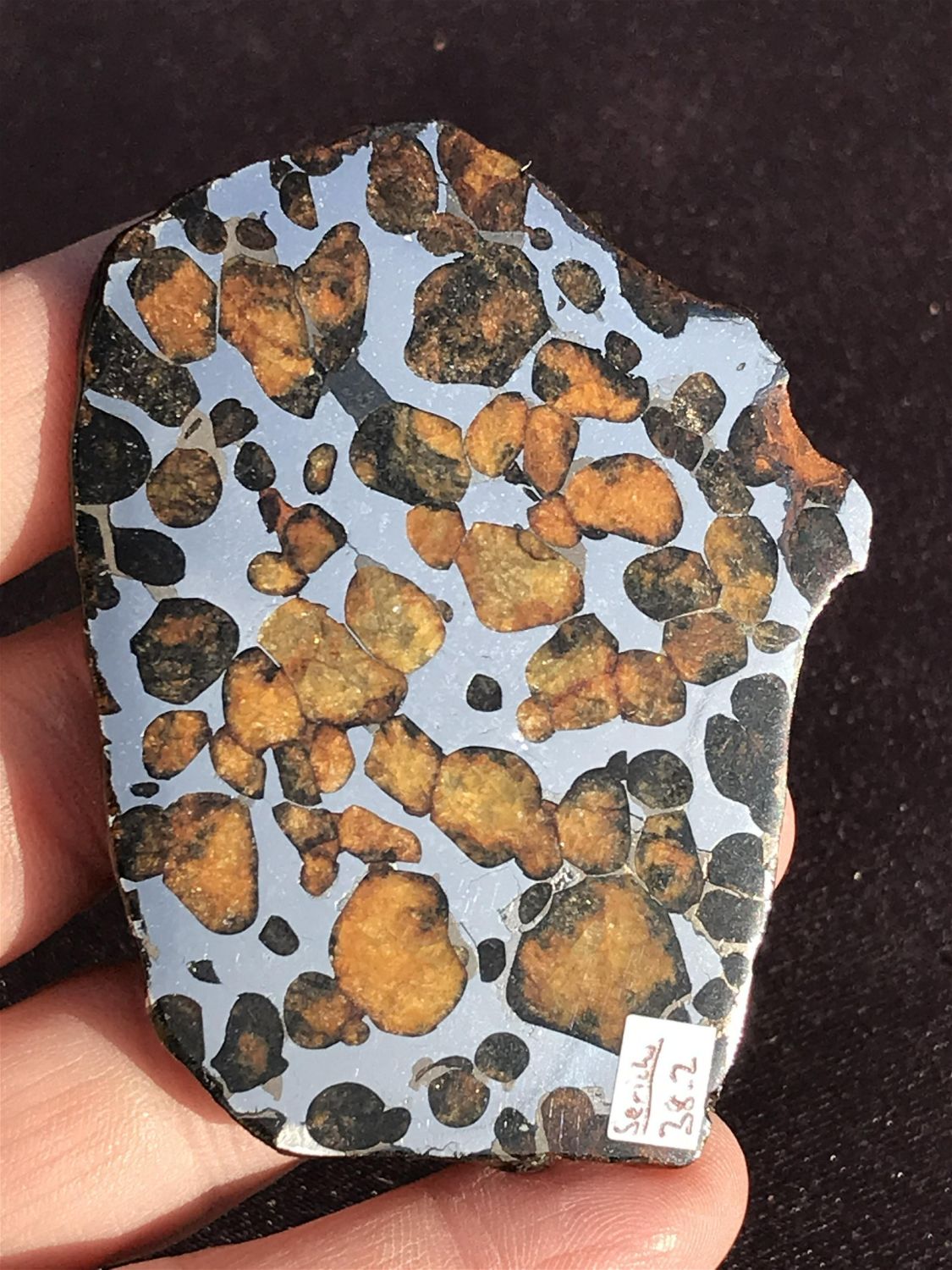 Lot 25 – Meteorite Slab Sericho - Easterly Auction Company ...