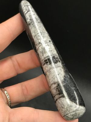 Lot 8 – Rock, Orthoceras, Fossil, Natural, Decor, Collectible, Carving ...