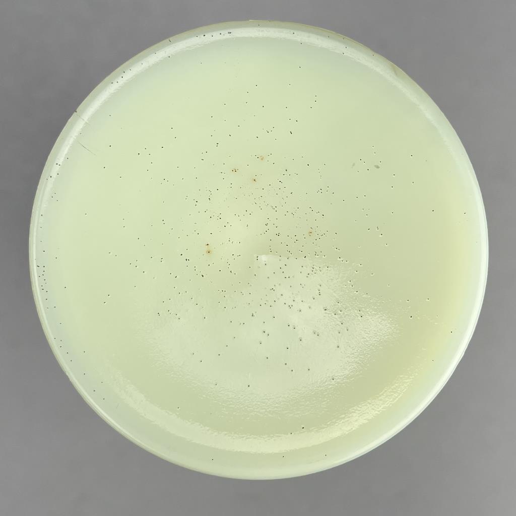 Lot 458 – Midland MI 2 Historic Souvenir Uranium Glass | Epic Auctions ...