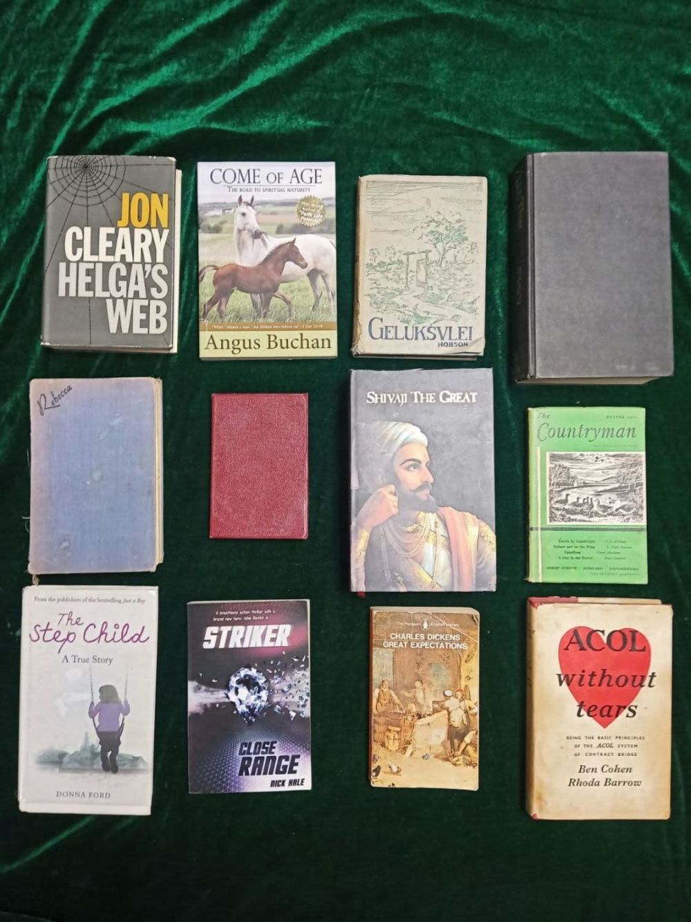 Lot 196 – Variety Book Bundle (12) – Grand Oak Auctions