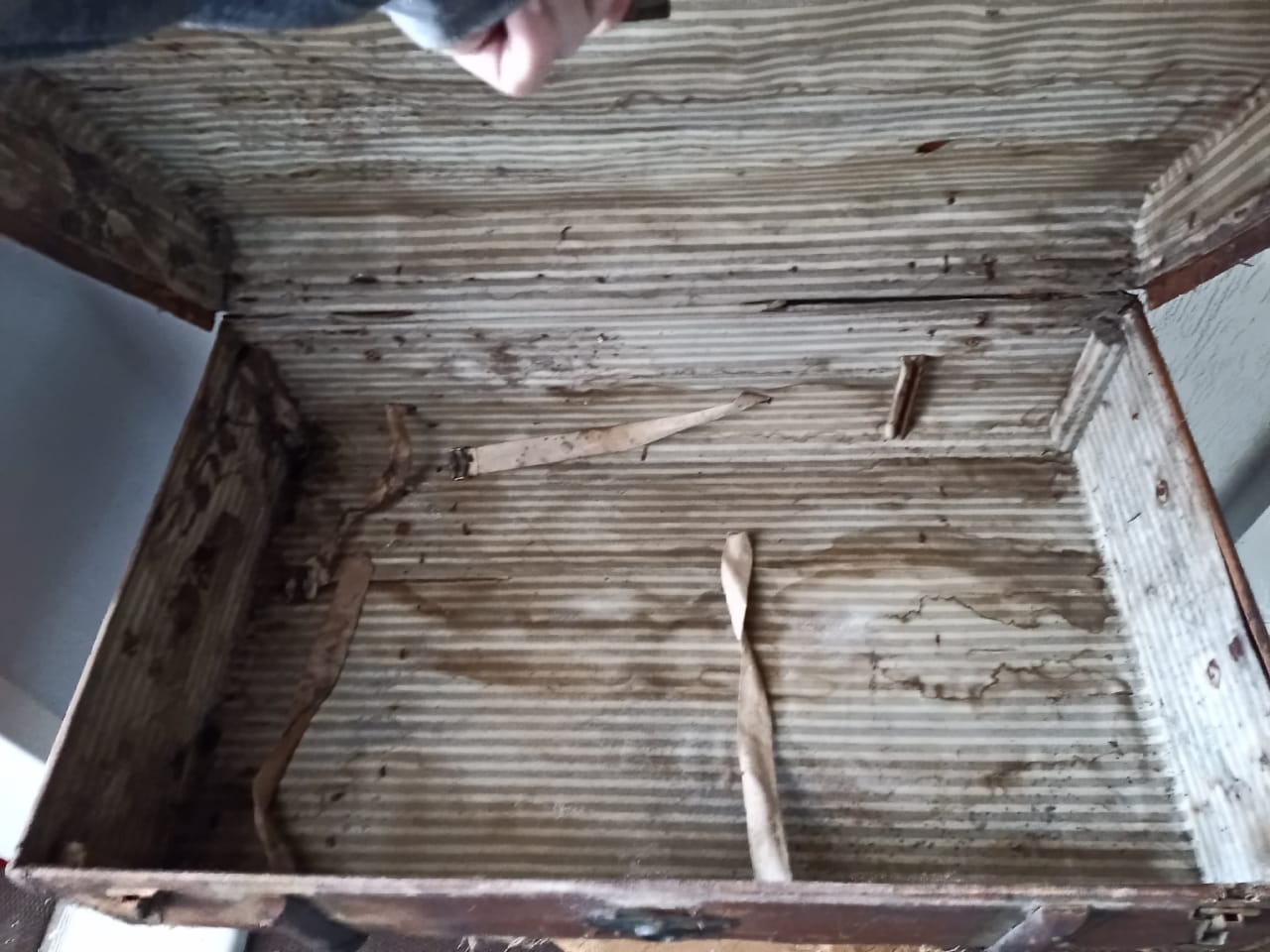 Lot 12 - Large Antique Travel Suit Case/Steamer Trunk - Grand Oak Auctions