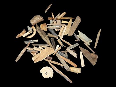 Lot 793 - Lot of Broken Bone Pieces | Heartland Artifact Auctions