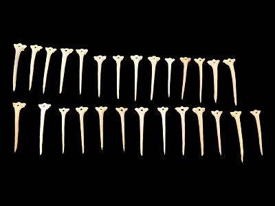 Lot 598 - Bone Needles Found in Arkansas, Catfish Spine | Heartland ...