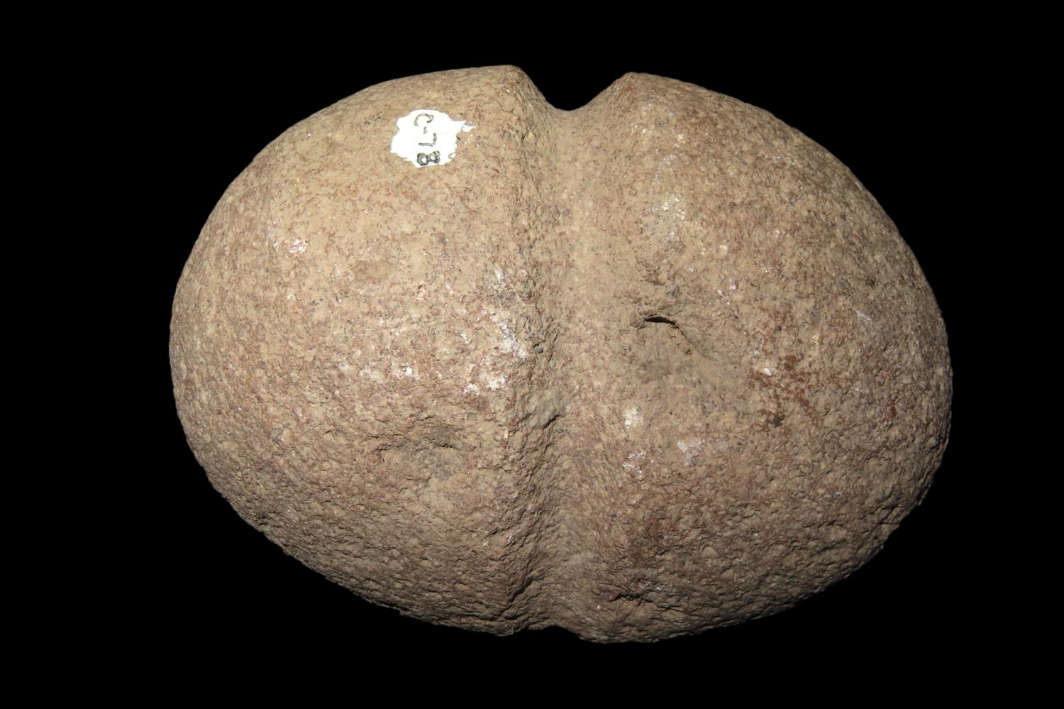 Lot 403 - 6" Grooved Maul Found in Colorado | Heartland Artifact Auctions