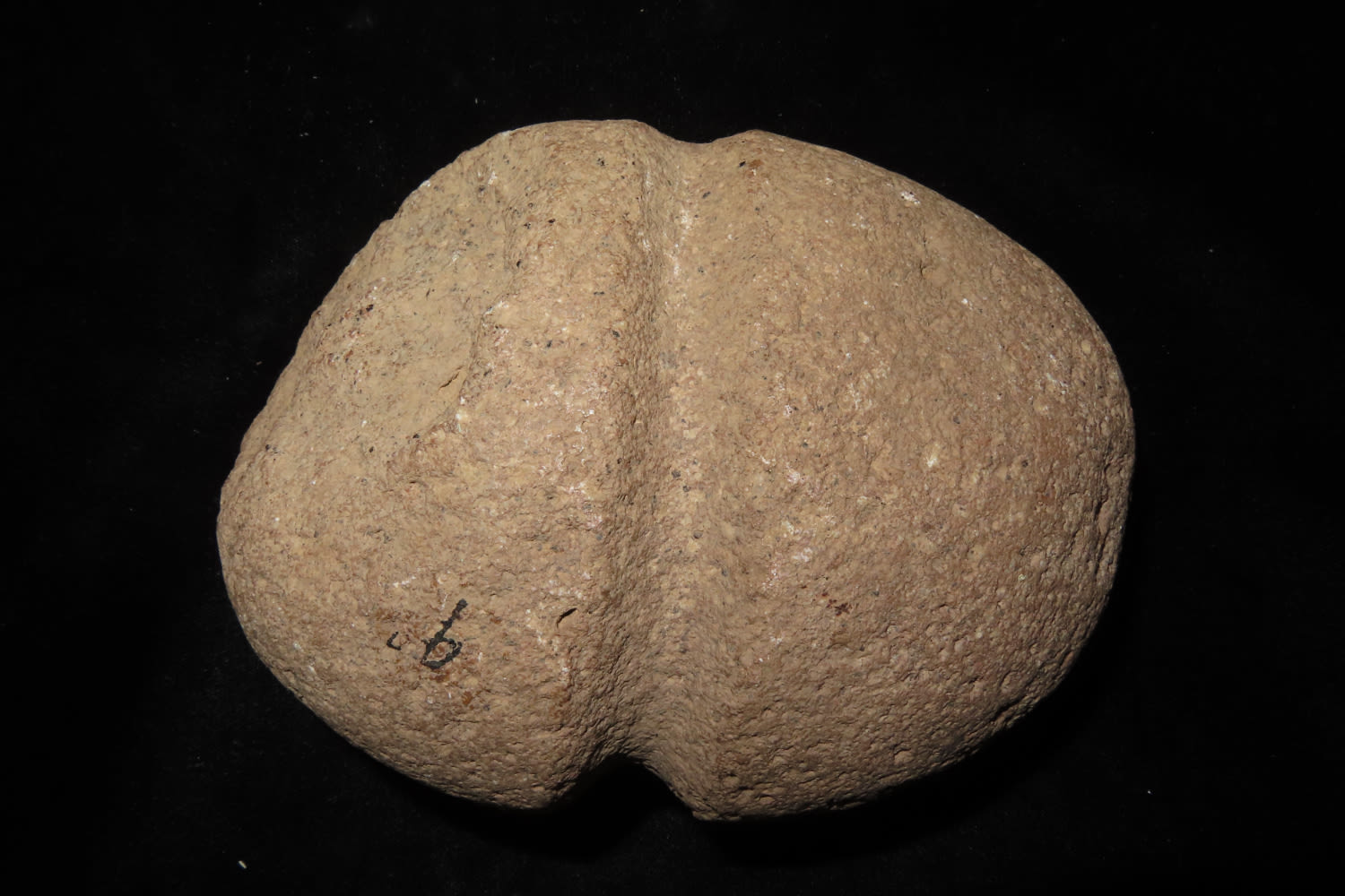 Lot 403 - 6" Grooved Maul Found in Colorado | Heartland Artifact Auctions