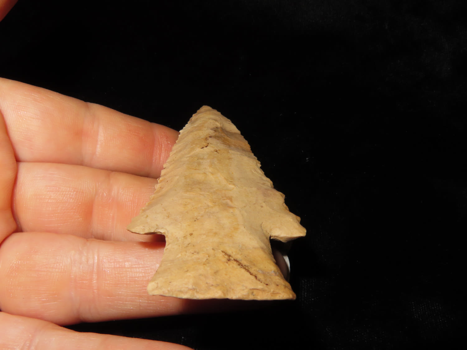 Lot 157 - 3 1/2" Hardin. Butler CO., Missouri. Colorful Chert. COA: Roy ...