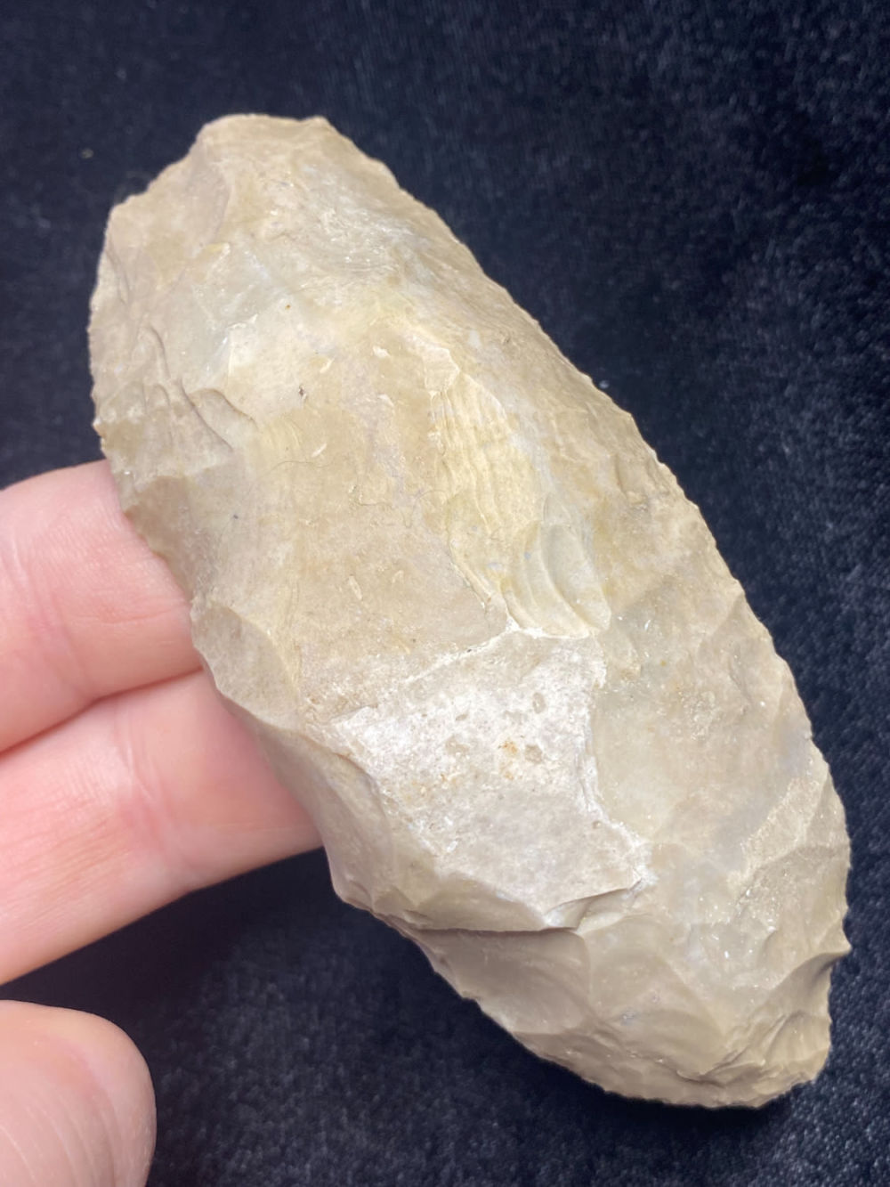 Lot 242 - 4 1/4" Turtle-back Scraper Williams County Texas | Heartland ...