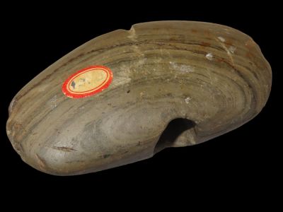 Lot 378A - 3" Banded Slate Bannerstone- Washington Co Kentucky- Broken ...