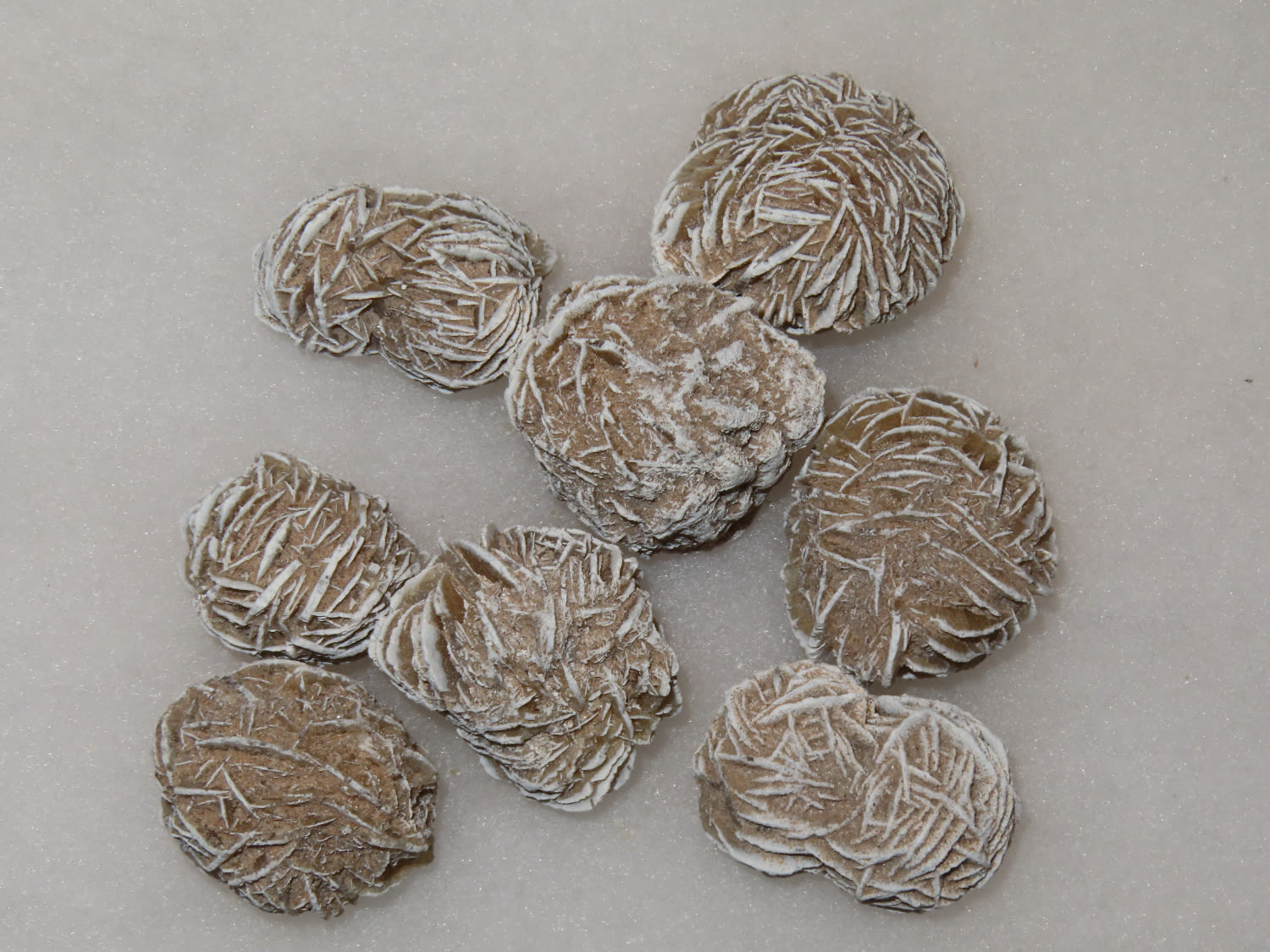 Lot 520 - GREAT LOT OF DESERT ROSE GYPSUM FOSSILS, GREAT EXAMPLES, 250 ...
