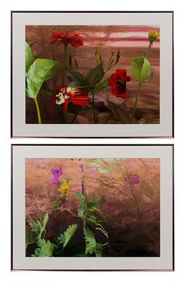 Lot 174 - Bruce Checefsky (American, b.1957) Silver Halide C-Prints ...