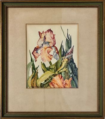 Lot 34 - Runbeck, Dolores Gaston, untitled iris, watercolor - Red Barn ...
