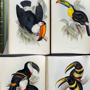 Antique Prints, Maps, & Books of Natural History, Botanicals, & More ...