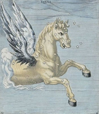 Lot 57622 - Gheyn - Equus or The Foal or Horse, Celestial Chart ...