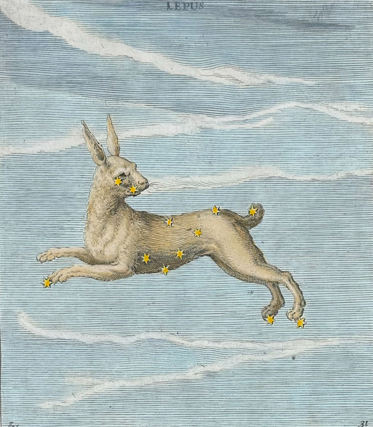 Lot 58038 - Gheyn - Lepus or Hare, Celestial Chart | Trillium Rare Prints