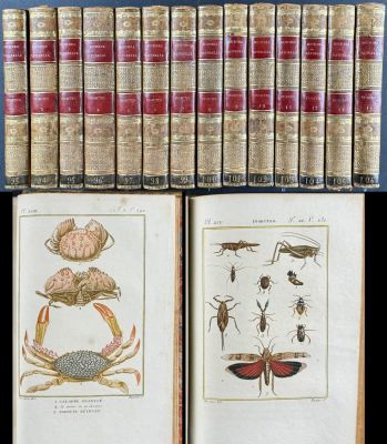 Lot 58704 - Buffon's Histoire Naturelle, Insect and Crustacean Section ...