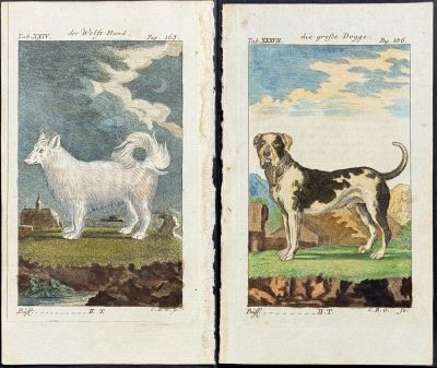 Lot 58705 - Buffon - 4 Dog Engravings | Trillium Rare Prints