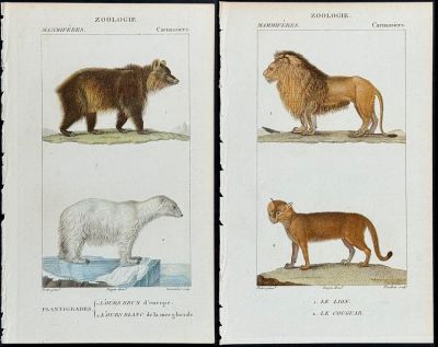Lot 59516 - Turpin - 8 Animal Engravings (Lion, Rabbit, Sloth, Bears ...