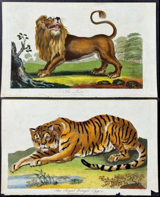 Lot 60691 - Linnaeus - Pair of Engravings: Lion & Royal Bengal Tiger ...