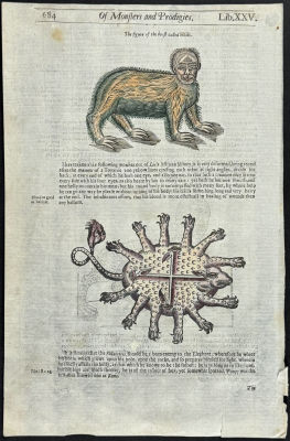 Lot 61241 - Pare, pub. 1664 - Monsters | Trillium Rare Prints