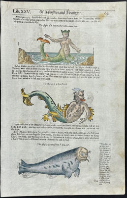 Lot 61242 - Pare, pub. 1664 - Merman (Mermaid) & Sea Monster | Trillium ...
