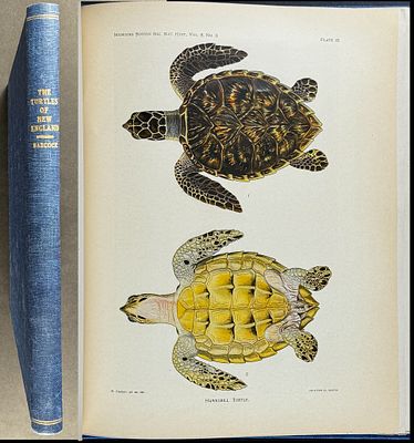 Lot 62892 - Babcock's The Turtles of New England - Volume with 16 ...