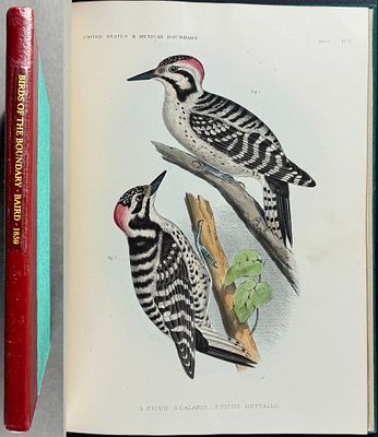 Lot 62952 - Baird & Emory's Report on the United States and Mexican ...