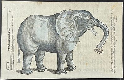 Lot 63290 - Pare, pub. 1664 - Elephant | Trillium Rare Prints