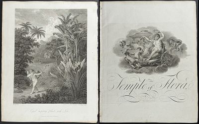 Lot 65528 - Thornton - Pair: Frontispiece & Cupid inspiring plants with ...