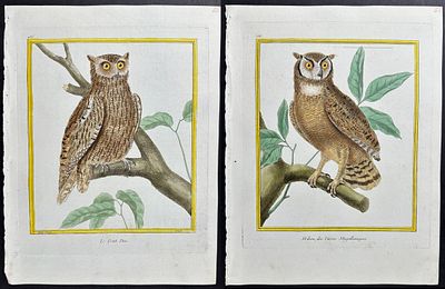 Lot 65919 - Martinet & Buffon - Pair of Owl Engravings | Trillium Rare ...