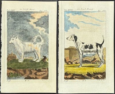 Lot 66266 - Buffon - 7 Dog Engravings | Trillium Rare Prints