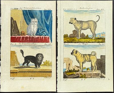 Lot 66267 - Buffon - 9 Dog Engravings | Trillium Rare Prints