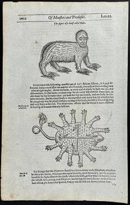 Lot 67308 - Pare, pub. 1664 - Animal Monstrosities | Trillium Rare Prints
