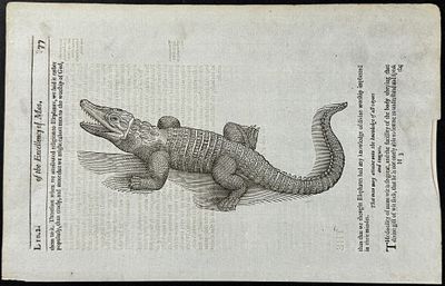Lot 67309 - Pare, pub. 1664 - Alligator or Crocodile | Trillium Rare Prints