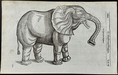 Lot 67310 - Pare, pub. 1664 - Elephant | Trillium Rare Prints