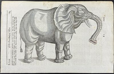 Lot 68090 - Pare, pub. 1664 - Elephant | Trillium Rare Prints