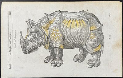 Lot 68091 - Pare, pub. 1664 - Rhinoceros after Albrecht Durer (Verso ...
