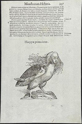 Lot 68874 - Aldrovandi - Bird with Woman's Head / Verso: Bird Man ...