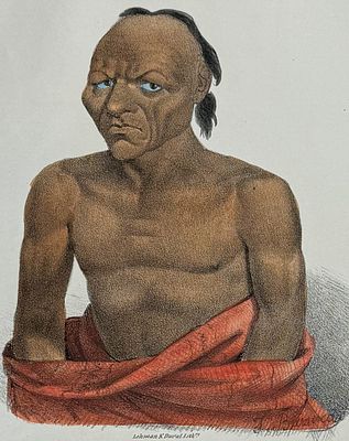 Lot 69081 - Lewis - Ash-E-Taa-Na-Quet, A Celebrated Chippeway Chief ...