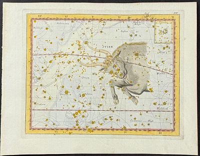 Lot 69855 - Bode - Constellation: Bull (Taurus). 14 | Trillium Rare Prints